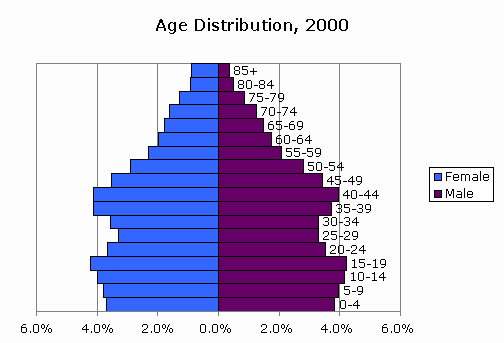 CensusScope -- Population Pyramid and Age Distribution Statistics