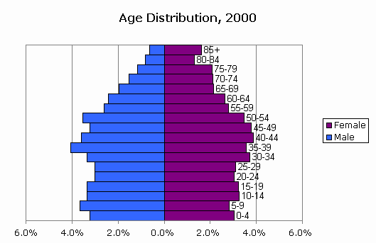 CensusScope -- Population Pyramid and Age Distribution Statistics