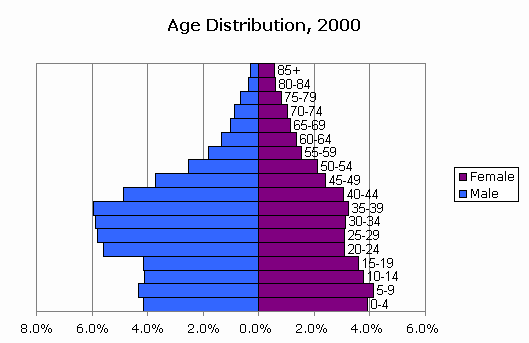 CensusScope -- Population Pyramid and Age Distribution Statistics